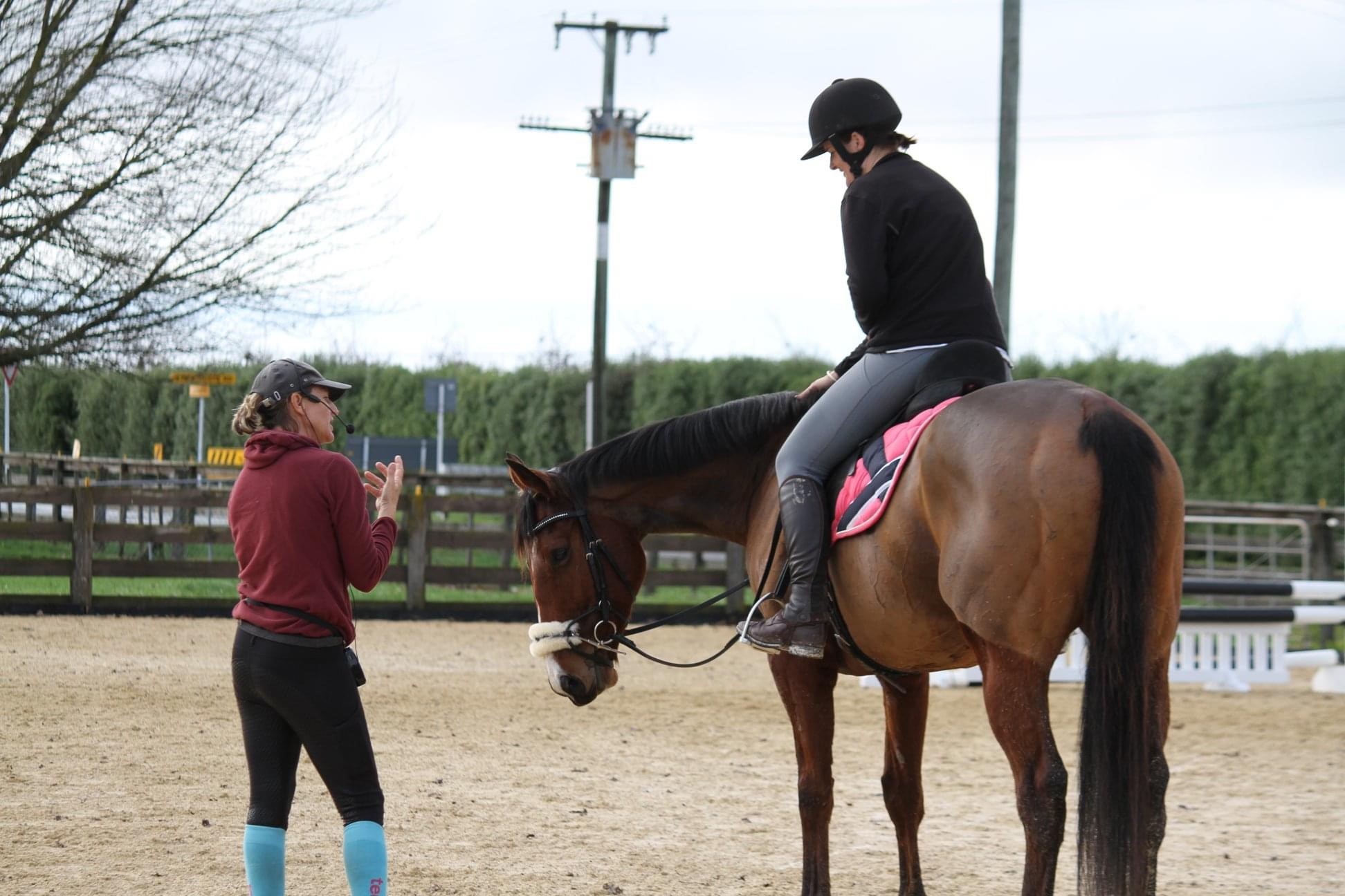 Selenium Deficiency in Horses – Vet Services Equine